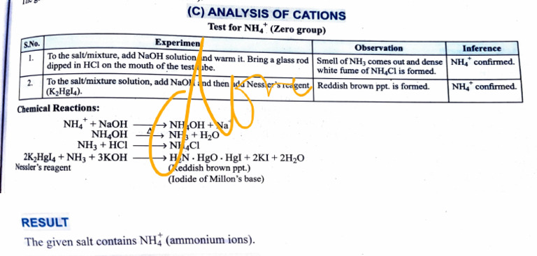 Cation Analysis Experiment 1 | PDF