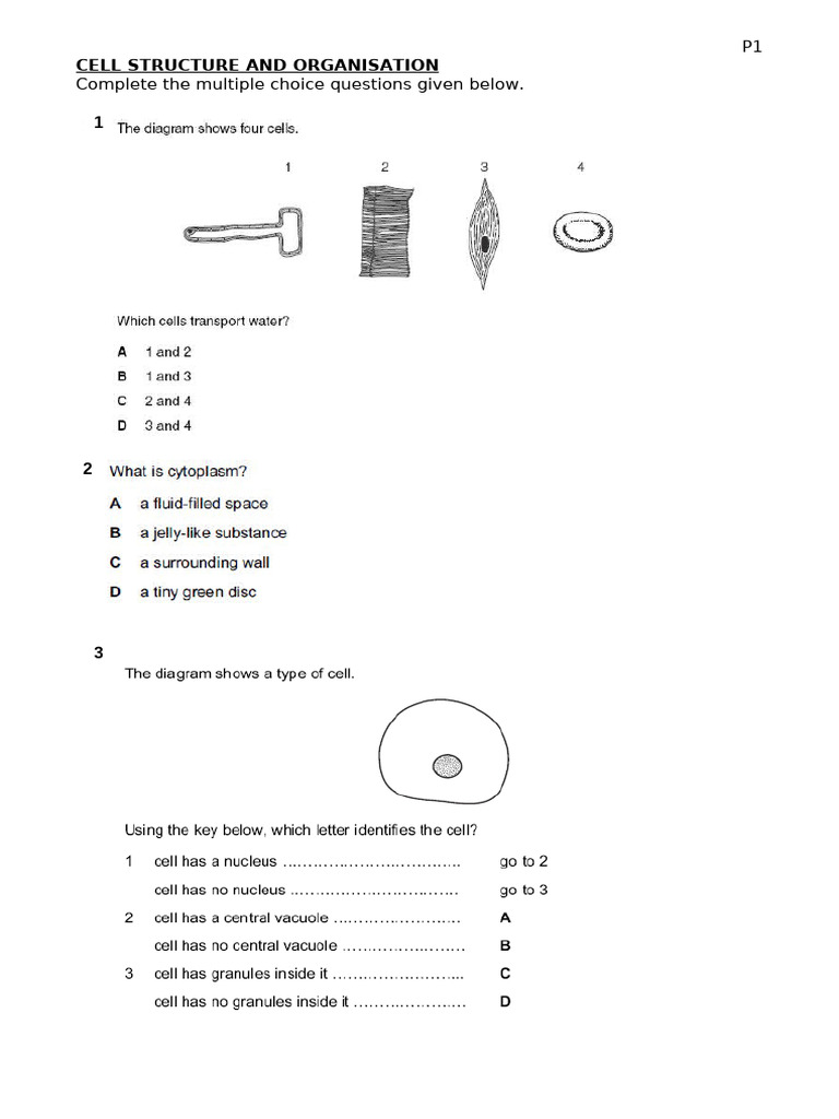 Cells MCQ IGCSE | PDF