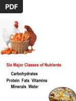 Layers Feed Consumption & Weight Chart | PDF | Chicken | Poultry