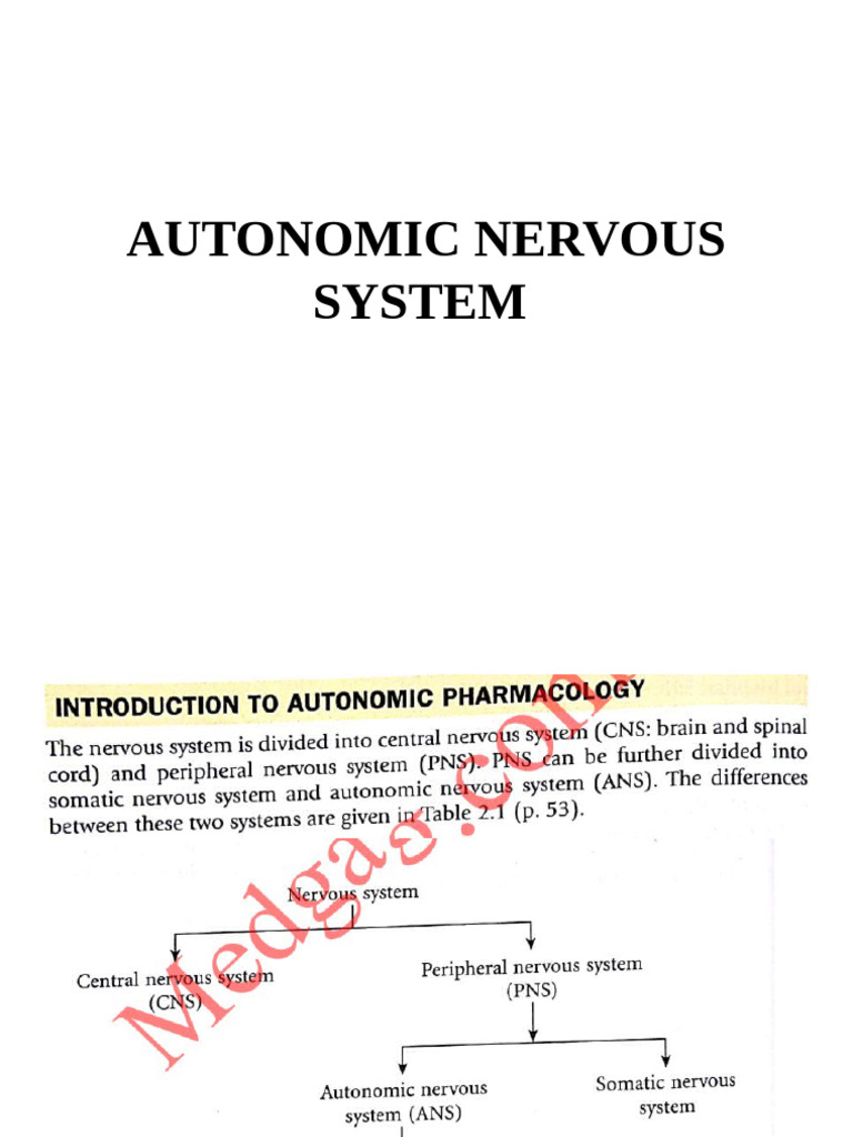 Autonomic Nervous System | PDF