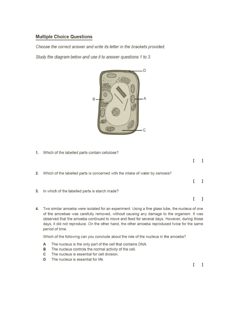 Cells MCQ From Worksheet | PDF