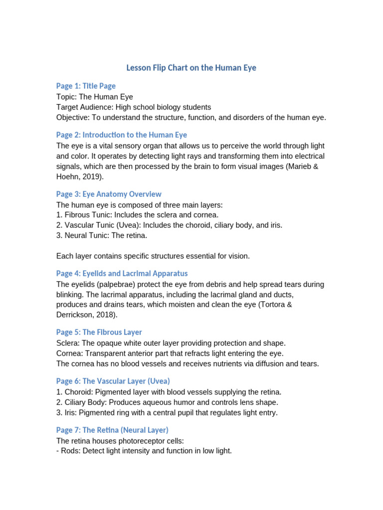 Human_Eye_Lesson_Flip_Chart | PDF | Human Eye | Eye