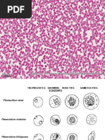 How To End A Debate Speech - Examples Example 1 | PDF