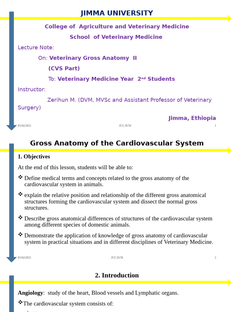 Veterinary Gross Anatomy: CVS Overview | PDF | Heart Valve | Atrium (Heart)