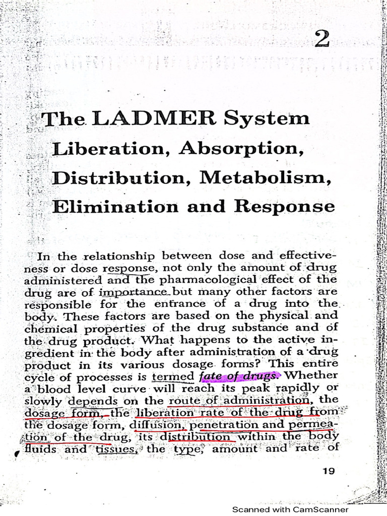 LADMER | PDF