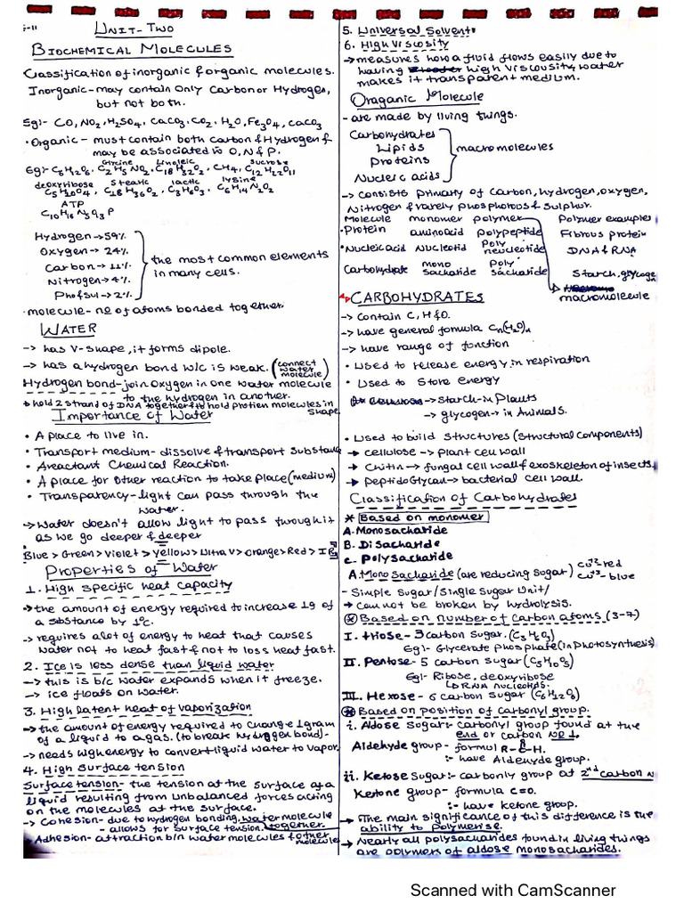 Grade 11 Biology Unit 2 | PDF