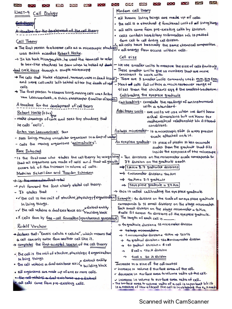 Grade 11 Biology Unit 4 | PDF