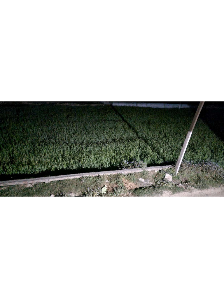 20250305_200003 | PDF