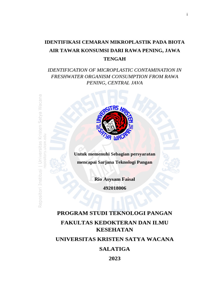 Rio Asysam Faisal-492018006-Bendel TA Soft File (1) | PDF