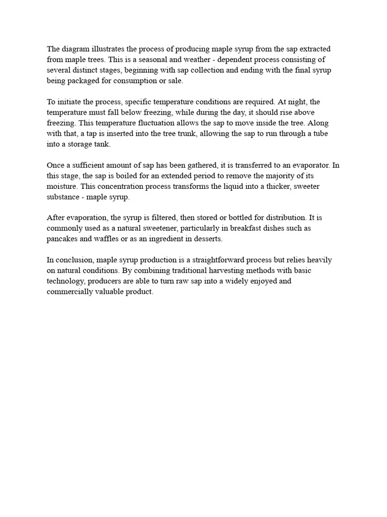 Maple Syrup Production Process Explained | PDF