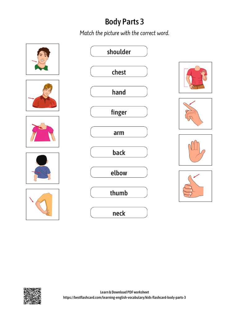 Homework Grade 3 Part 20 | PDF
