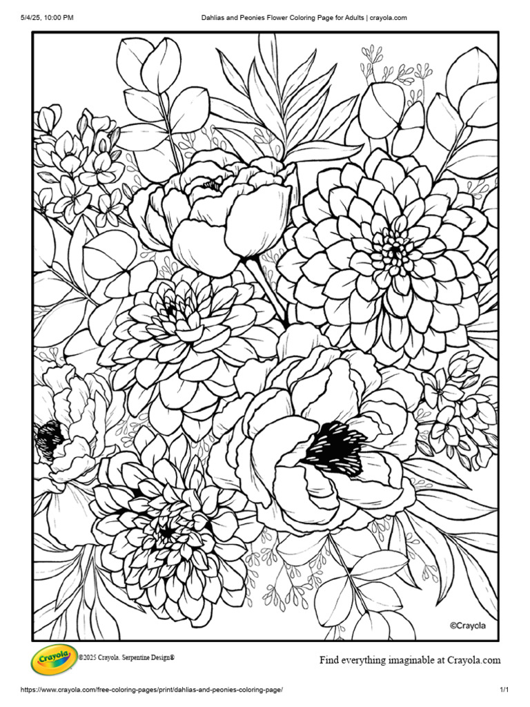 Dahlias and Peonies Flower Coloring Page For Adults | PDF