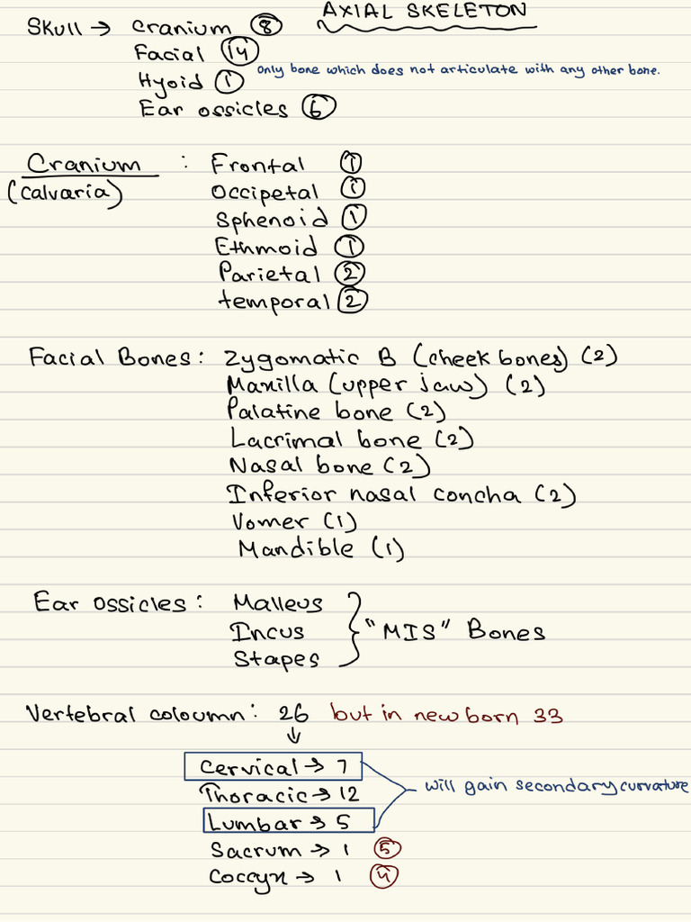 General Anatomy | PDF