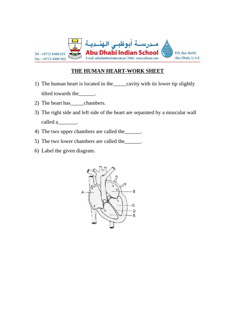 GR 7 WS 6 Transportation | PDF