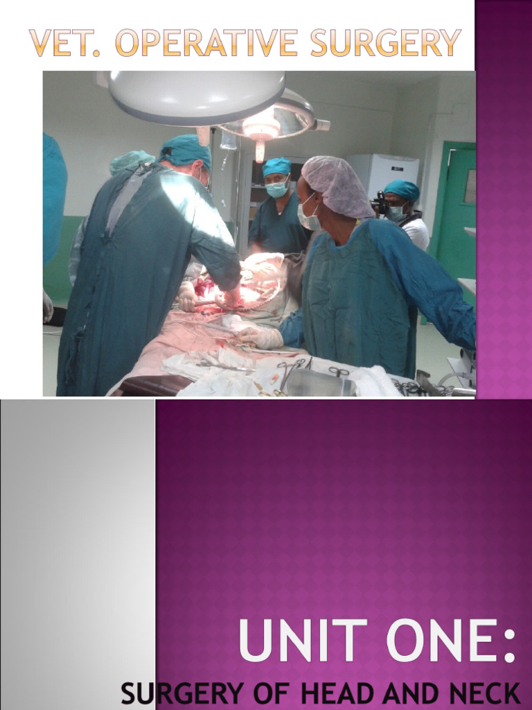 Dehorning and Eye Surgery Techniques | PDF | Surgery | Anesthesia