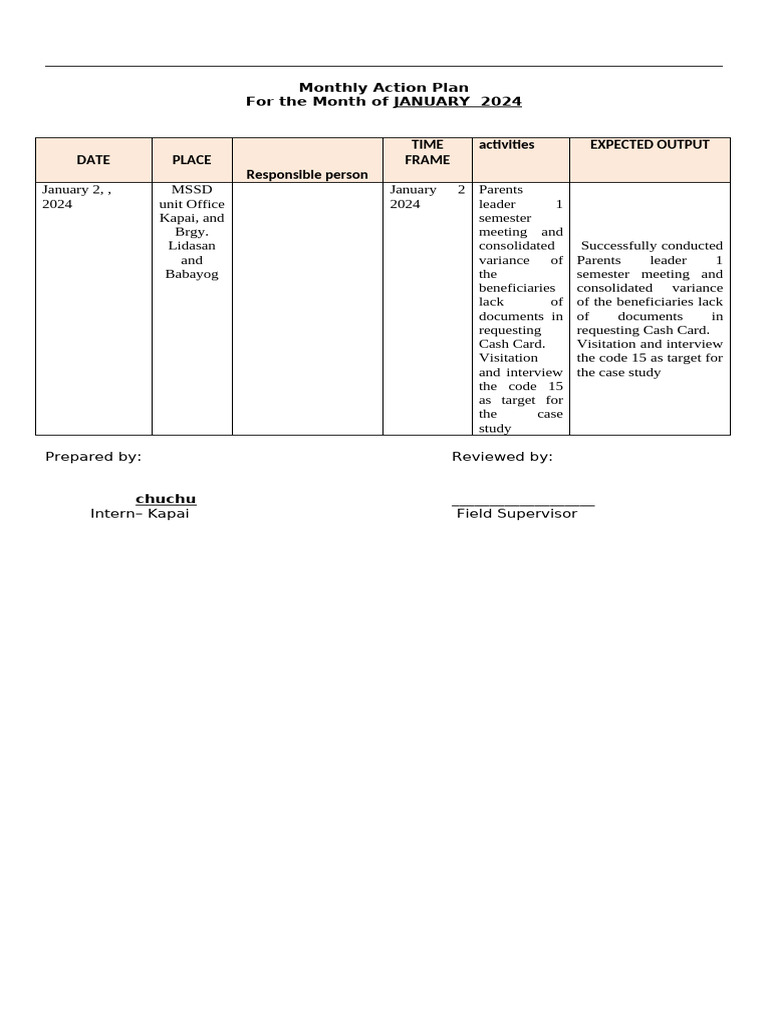 Action Plan Interns | PDF