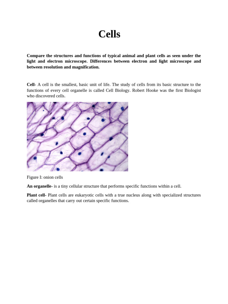 WEEK 5b TERM 1 Mod 1 Plant and Animal Cells | PDF | Microscope | Cell ...