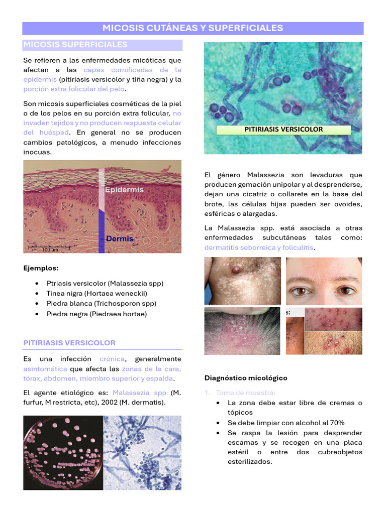 Micosis Cutáneas y Superficiales | PDF | Candidiasis | Enfermedades y ...