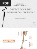 Anatomía de la Escápula y Cintura Escapular | PDF