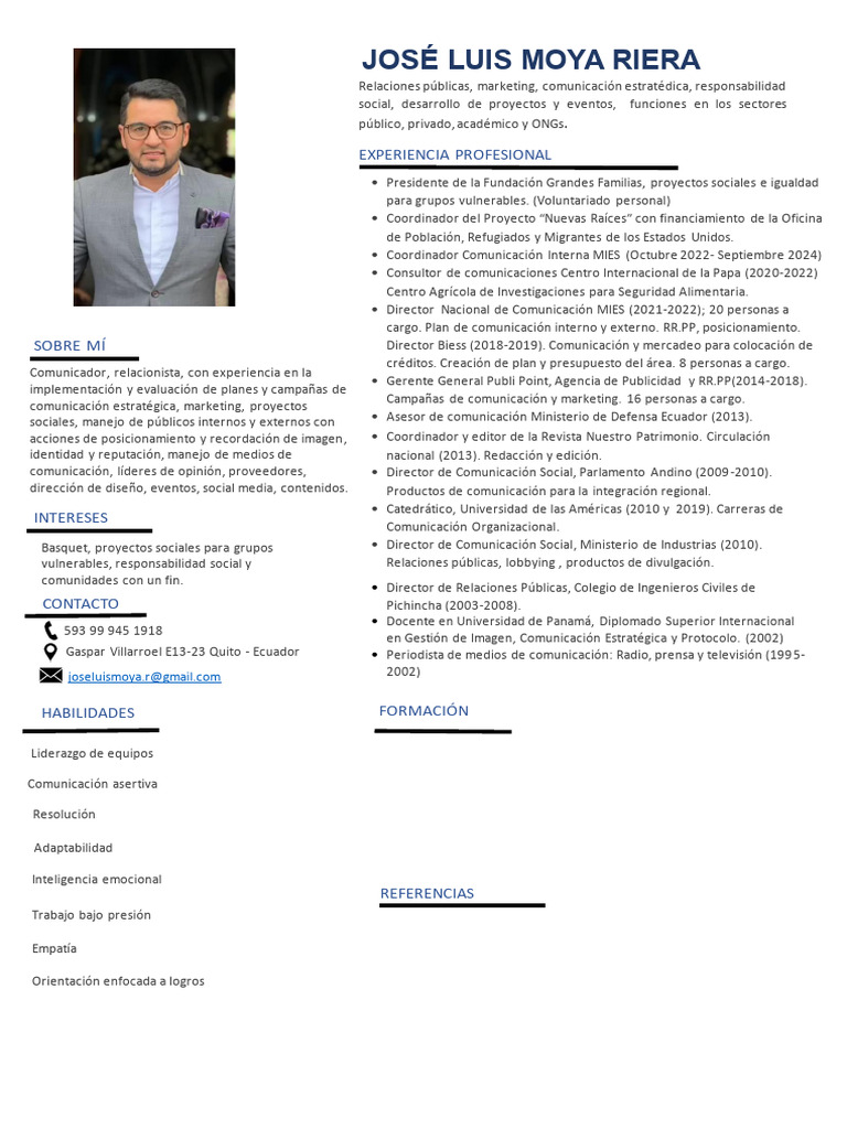 CV Jose Luis Moya 2025 7 | PDF | Marketing