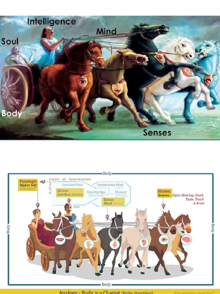 Body As Chariot Kathopnishad | PDF
