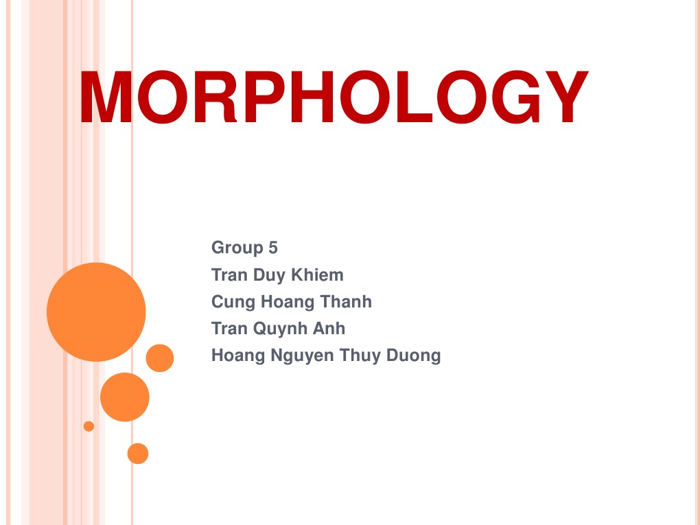 Morphology | Morphology (Linguistics) | Word
