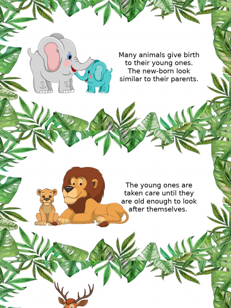 Animals Giving Birth to Young Ones | PDF