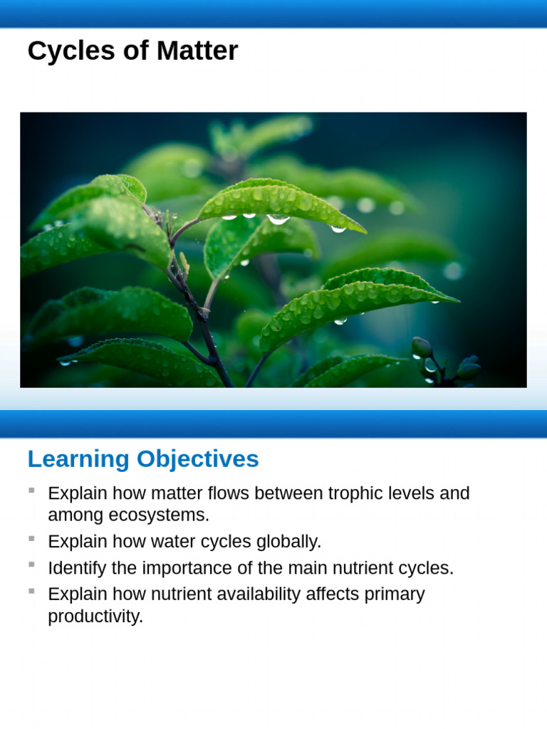 BIO ECOS L03 Editable Presentation | PDF
