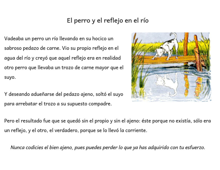 Perro Reflejo | PDF