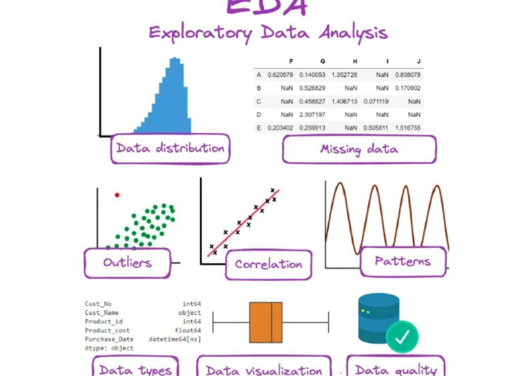 eda-steps | PDF