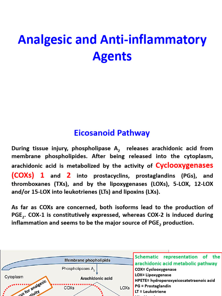 Msr-Nsaid - Sub-22 Aug 2024 | PDF | Nonsteroidal Anti Inflammatory Drug ...