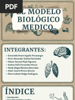 Modelo Biologicista en Psicopatología | PDF | Biología | Psicopatología