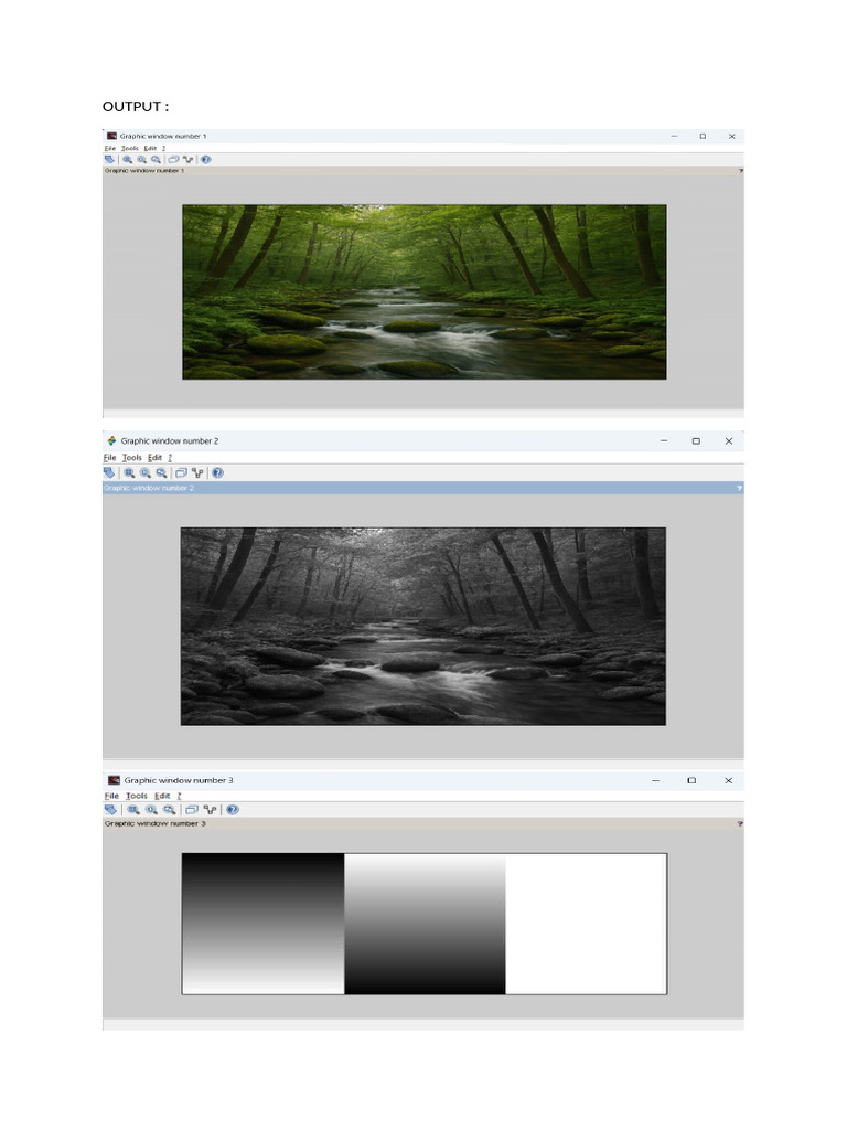 OUTPUT of Dip Lab | PDF