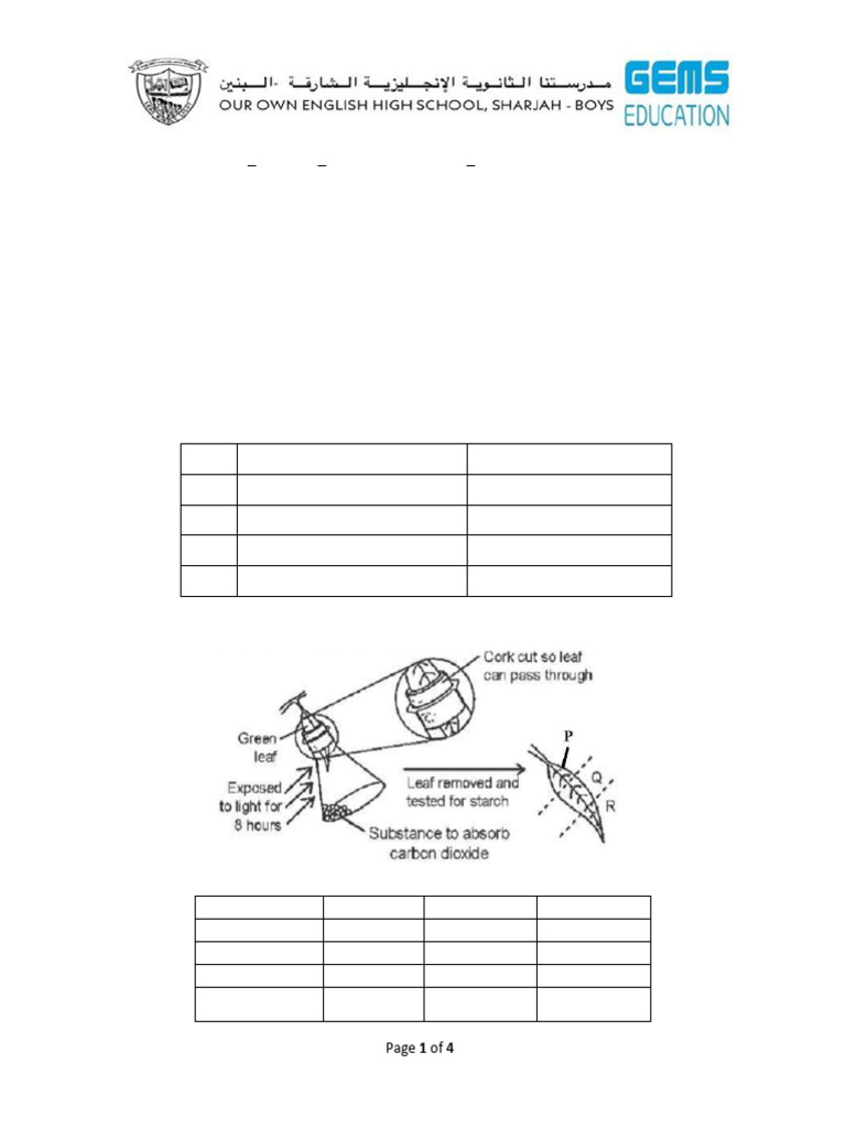 Garde 10 Biology Life Process - Photosynthesis WS 2025 | PDF ...