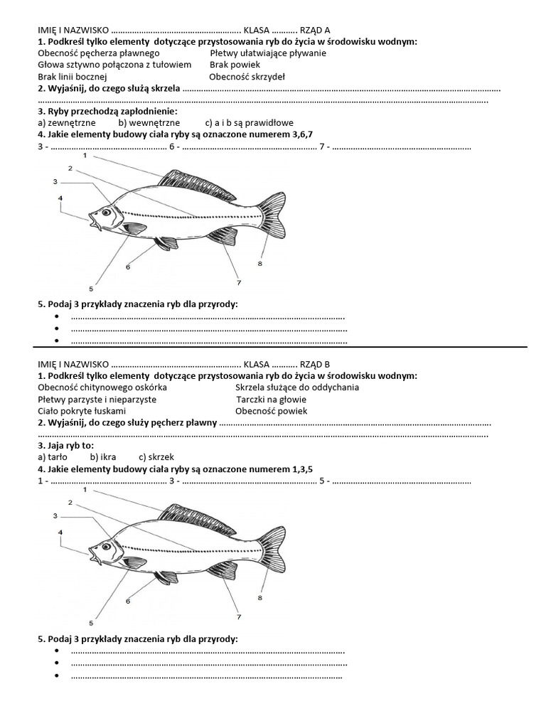 Kartkówka kl. 6 ryby | PDF