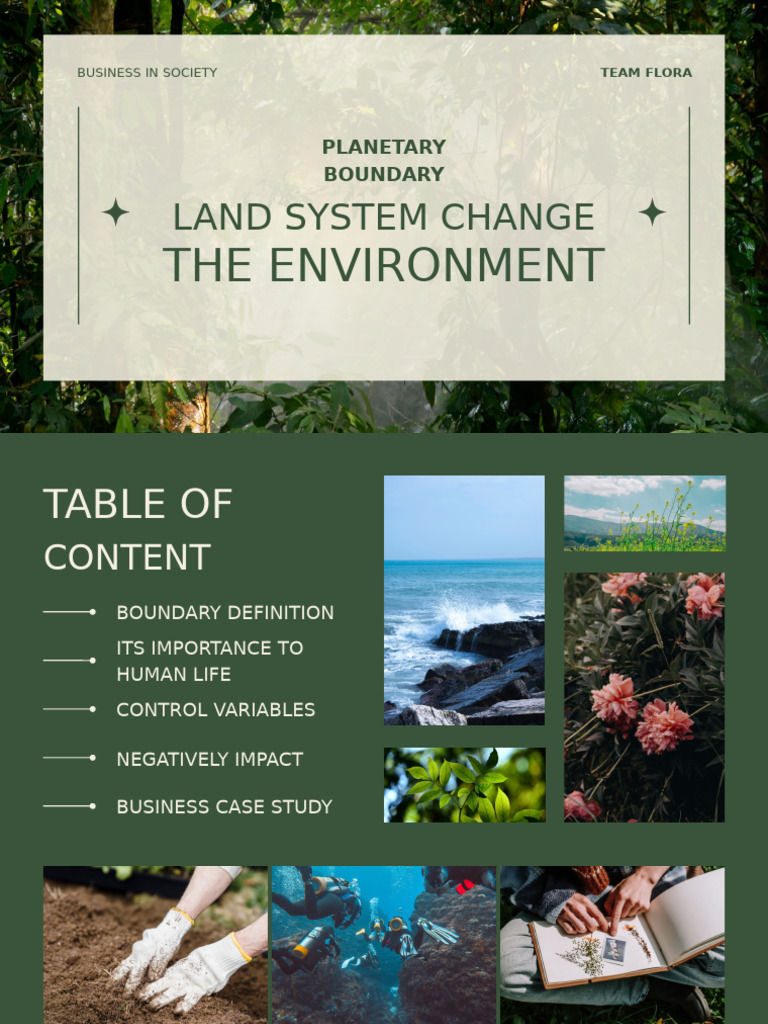 ASMJL06 Land System Change Team Flora | PDF