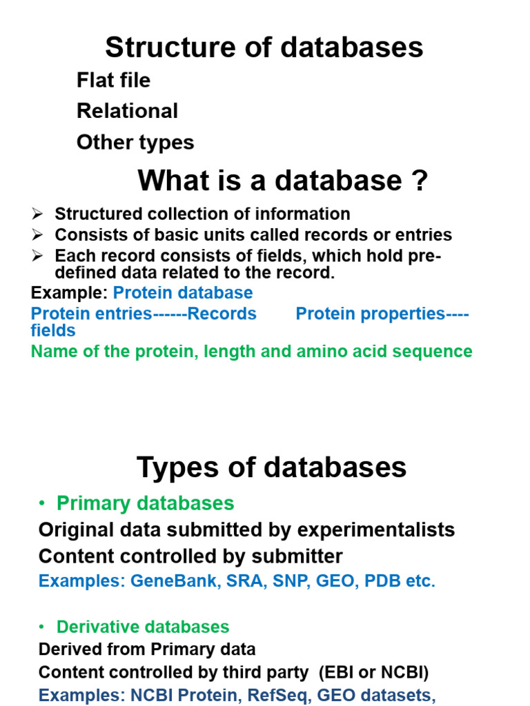 Database Basics | PDF