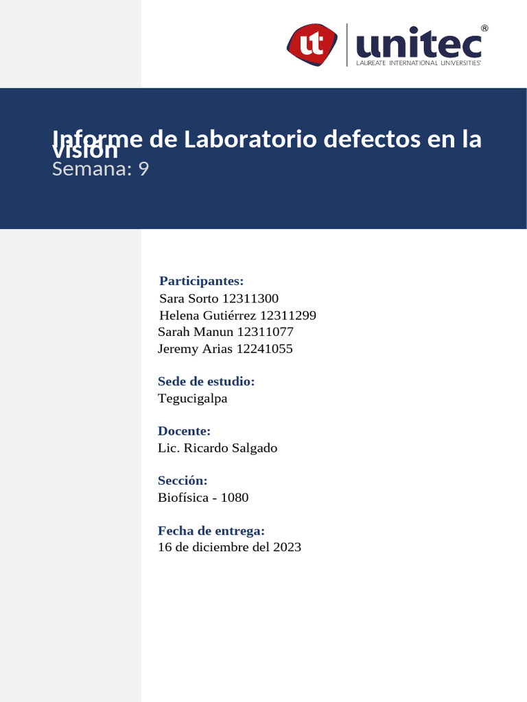 Informe sobre Defectos de la Visión | PDF | Lentes | Ojo humano