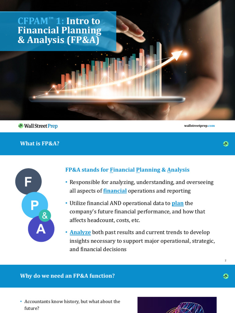 1 - WSP FPA - Intro | PDF | Financial Analyst | Budget