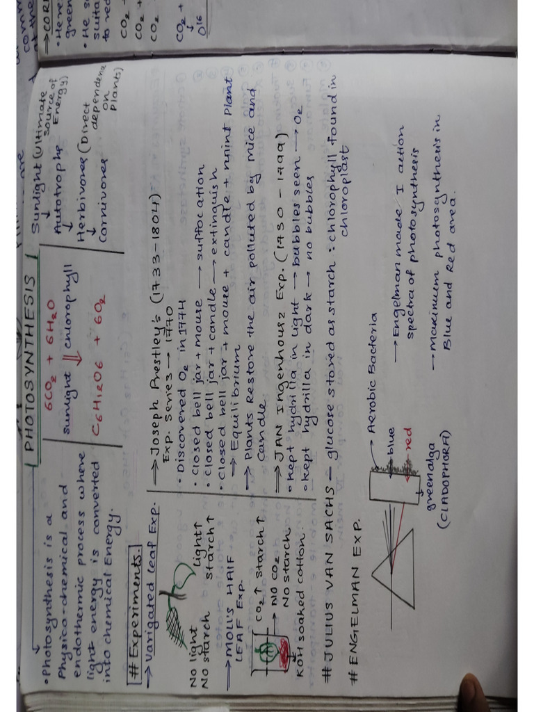 Photosynthesis Experiments | PDF