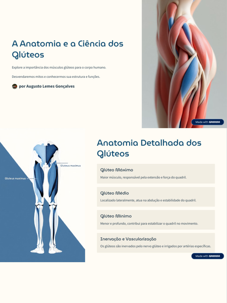 Anatomia e Funções dos Glúteos | PDF | Músculo | Proteínas