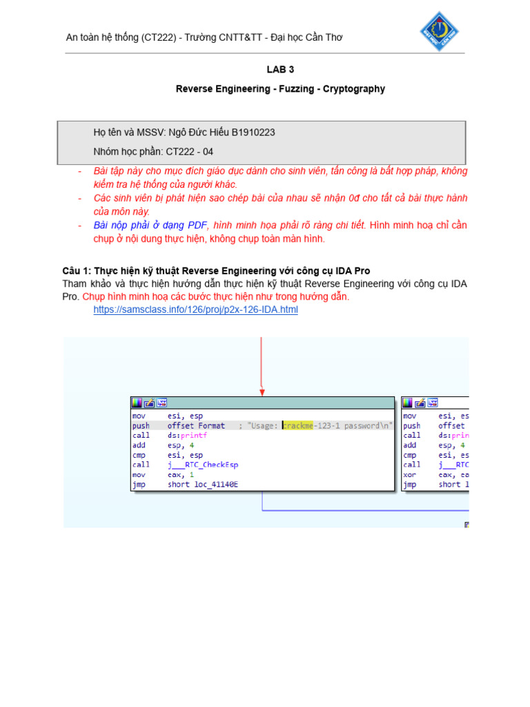 Lab 3 Reverse Engineering - Fuzzing - Cryptography: An toàn hệ thống ...