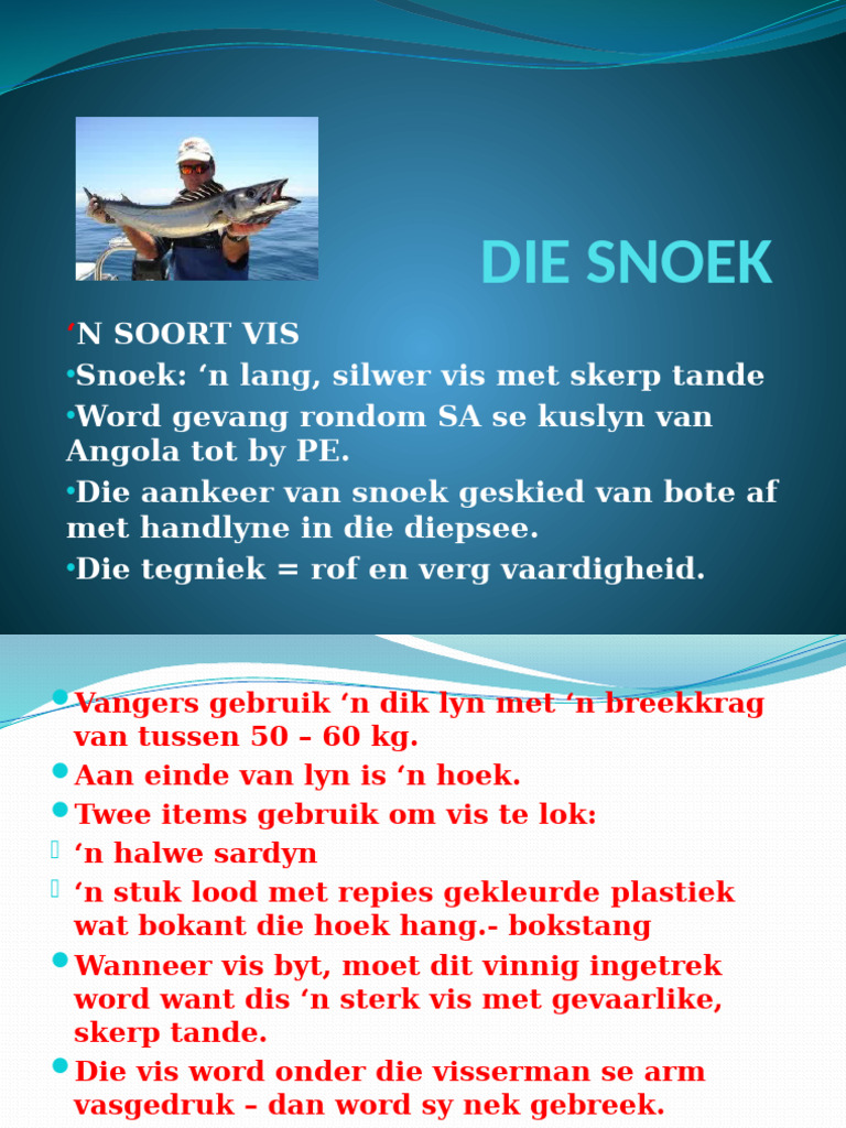 Die Snoek Uitleg | PDF
