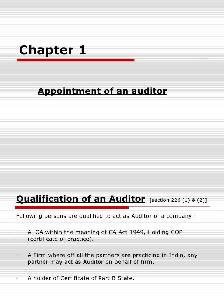 Auditor | PDF