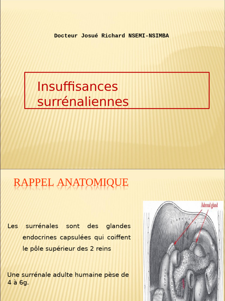 INSF SURRENAL-DR NSEMI | PDF | Maladies et troubles humains | Médecine ...