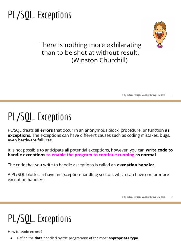 U6_ORACLE_PLSQL_2025_Programmer_Exceptions_Students | PDF | Pl/Sql | Computer Programming