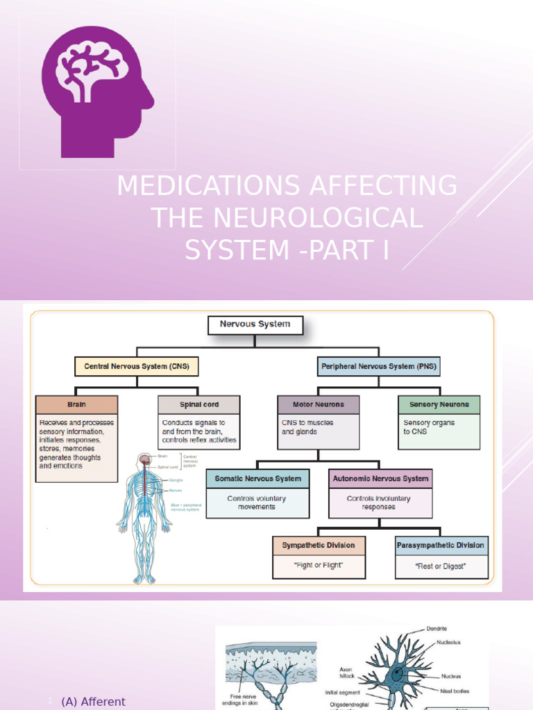 Lect10 SV Neuro Part 1 | PDF | Acetylcholine | Stimulant