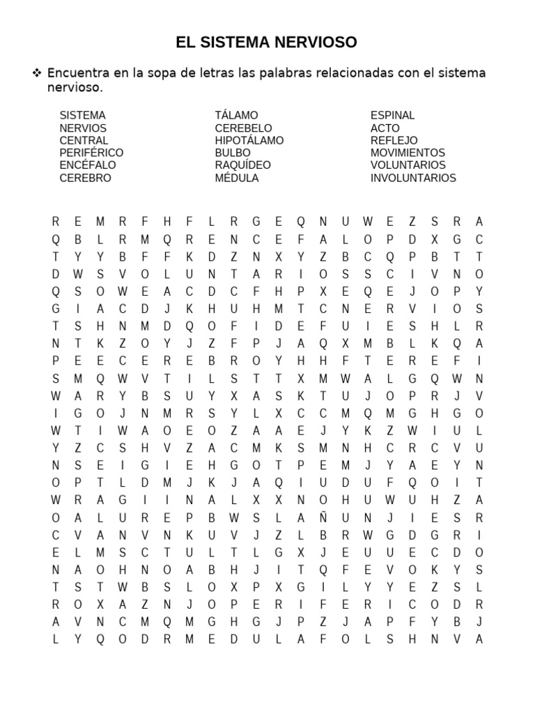 Sopa de Letras: Sistema Nervioso | PDF | Sistema nervioso central ...