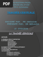54 - Tamponnement Nasal Anterieur | PDF | Tête et cou chez l'humain ...