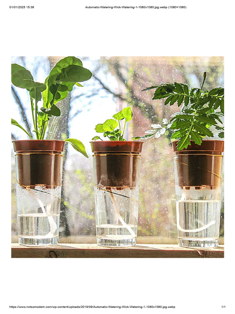 Automatic Watering Wick Watering 1 1080x1080.jpg | PDF
